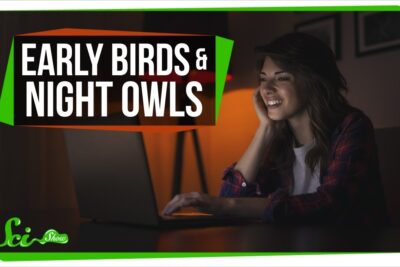 ≫ How Does Night Owl Data Work - The Dizaldo Blog!