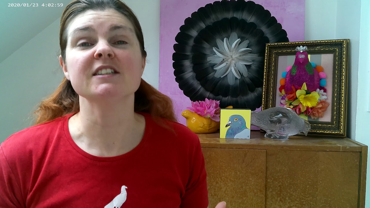 How Long Do Pigeons Live – The Dizaldo Blog!