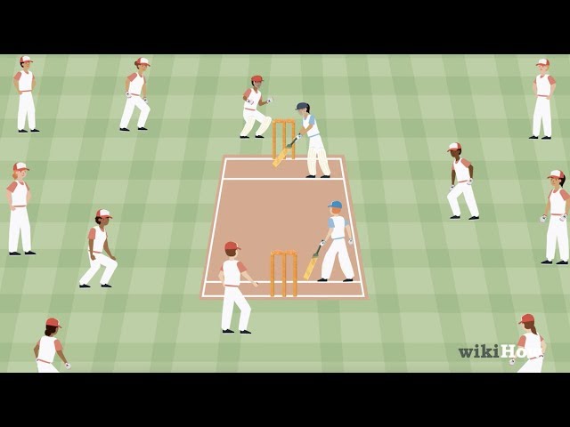 How Long Is A Cricket Game – The Dizaldo Blog!