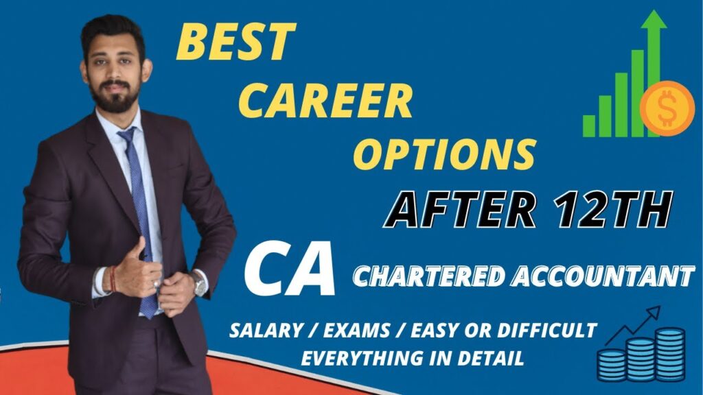 How To Become A Chartered Accountant – The Dizaldo Blog!