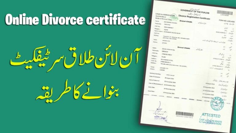 How To Check Divorce Certificate Online – The Dizaldo Blog!