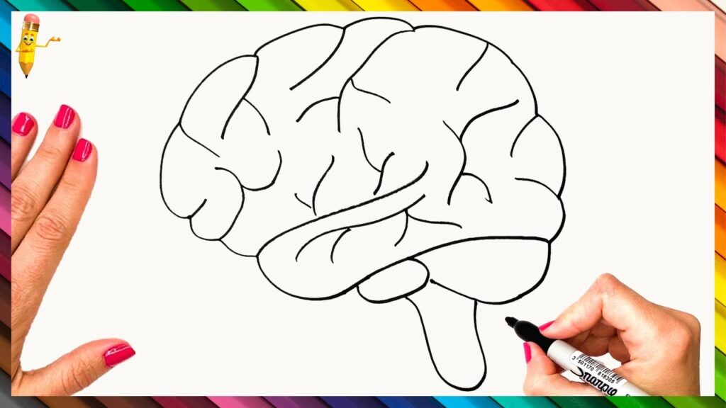 How To Draw A Brain – The Dizaldo Blog!