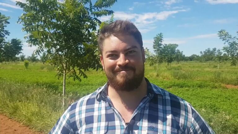 How To Grow Pecan Nut Trees In South Africa – The Dizaldo Blog!