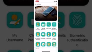 How To Increase Fnb Daily Limit – The Dizaldo Blog!
