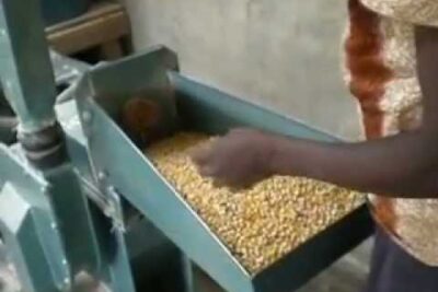 ≫ How To Make Maize Meal - The Dizaldo Blog!