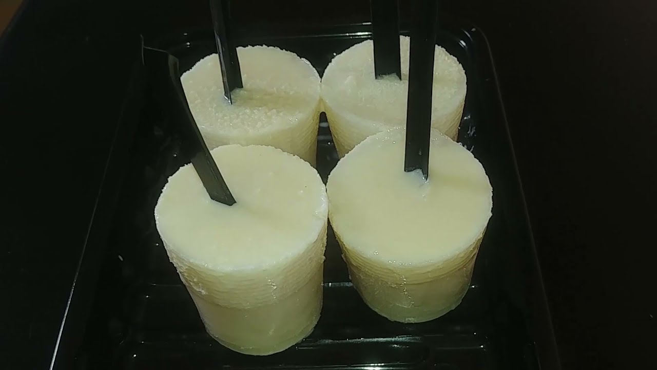 How To Make Milk Ice Blocks – The Dizaldo Blog!